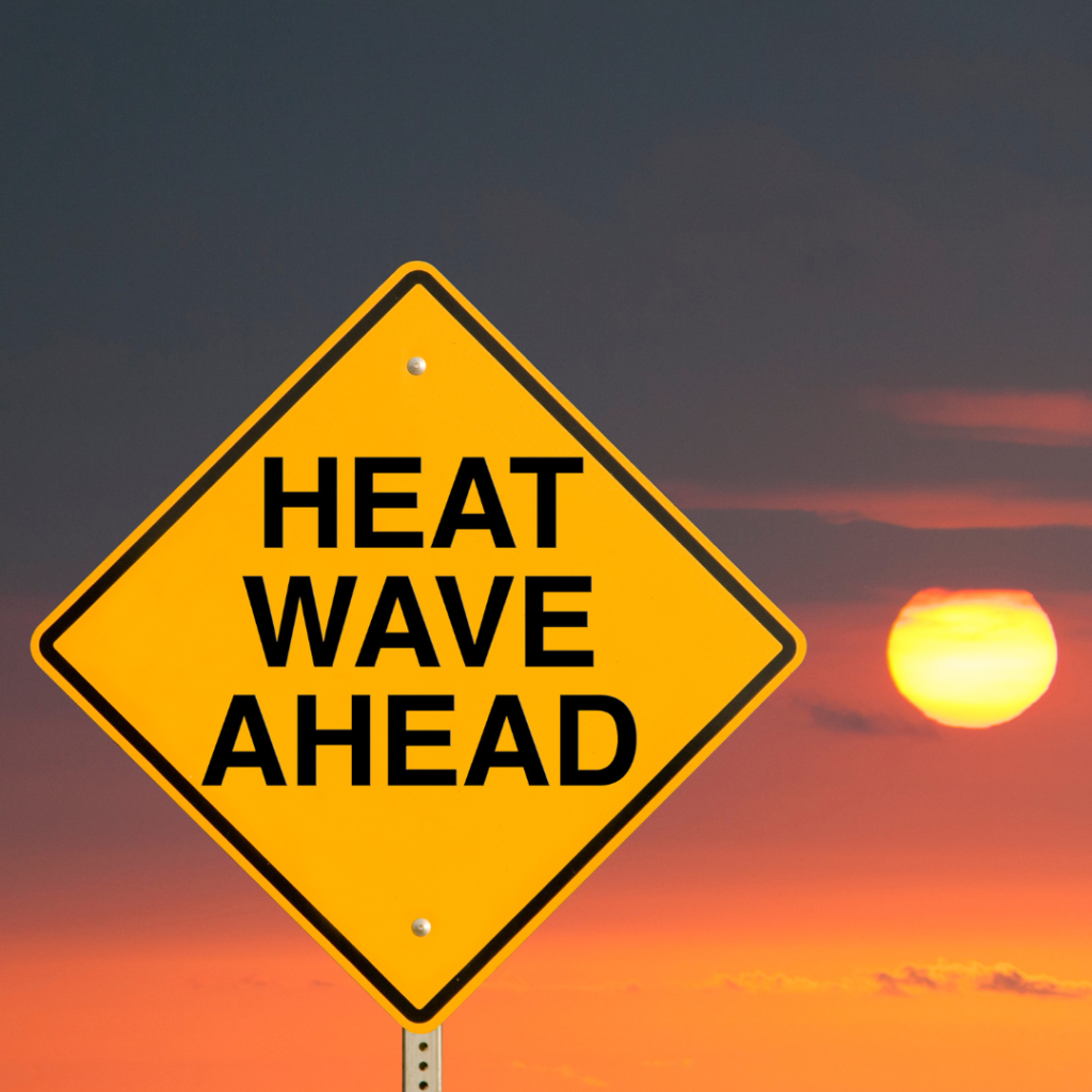 Let's Beat the Heat - Caredig