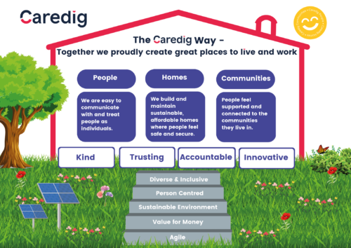 The Caredig Vision - Caredig