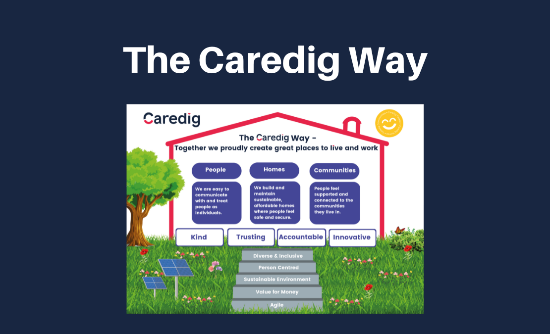 The Caredig Vision - Caredig