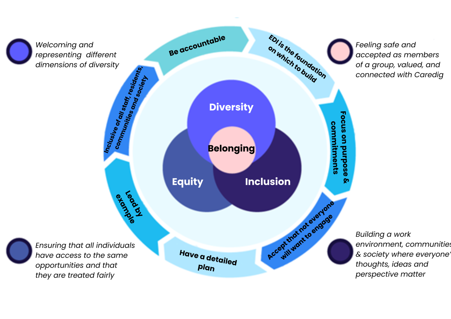 Equality Diversity & Inclusion - Caredig