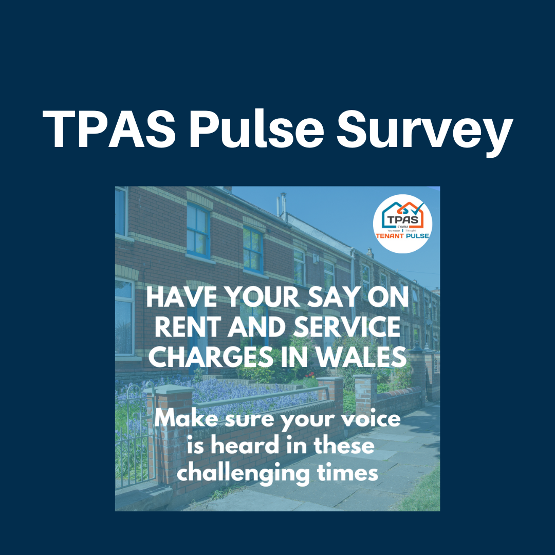 TPAS Pulse Survey - Caredig