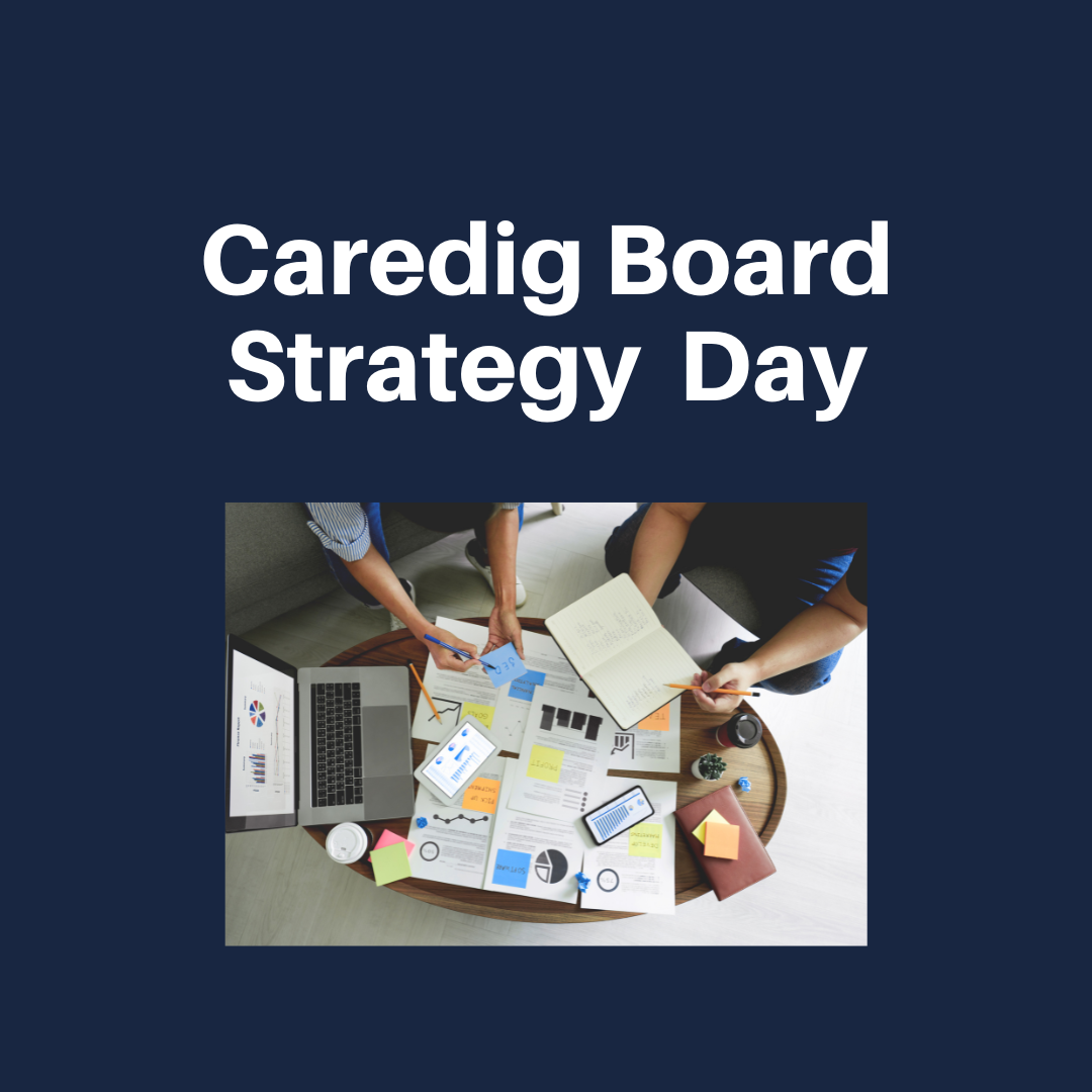 Caredig Board Members Embark on Strategic Growth Journey at Annual Away ...