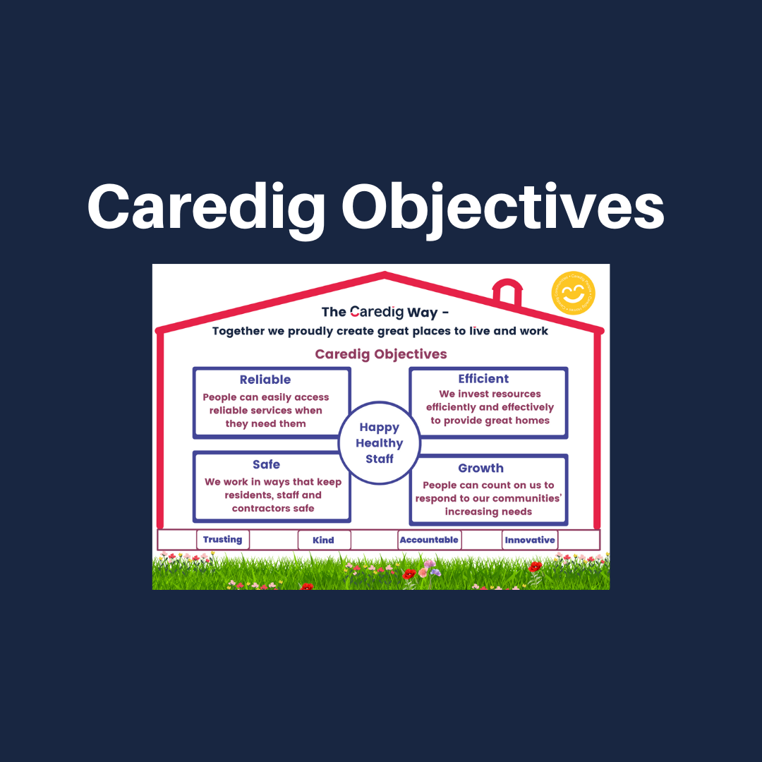Caredig’s Objectives: A Blueprint for Service Excellence and Community ...
